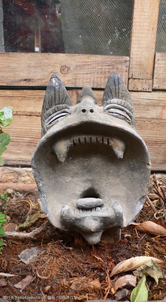 瓦猫图片免费下载_瓦猫素材_瓦猫模板-图行天下素材网